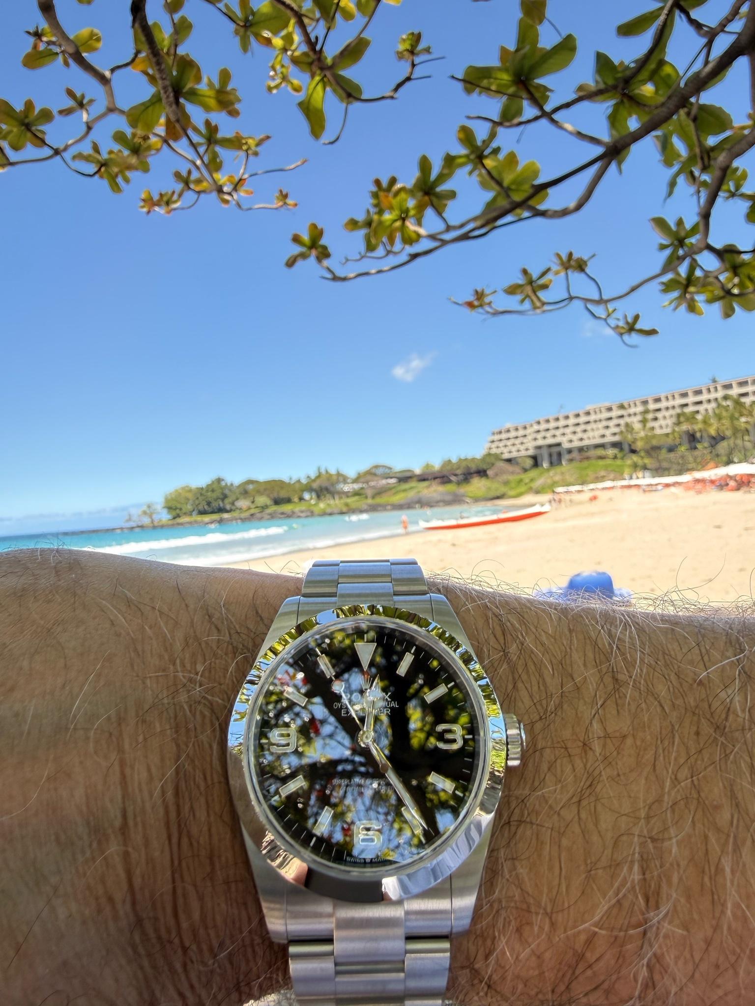 Rolex - Reflection of the tree above at Mauna Kea